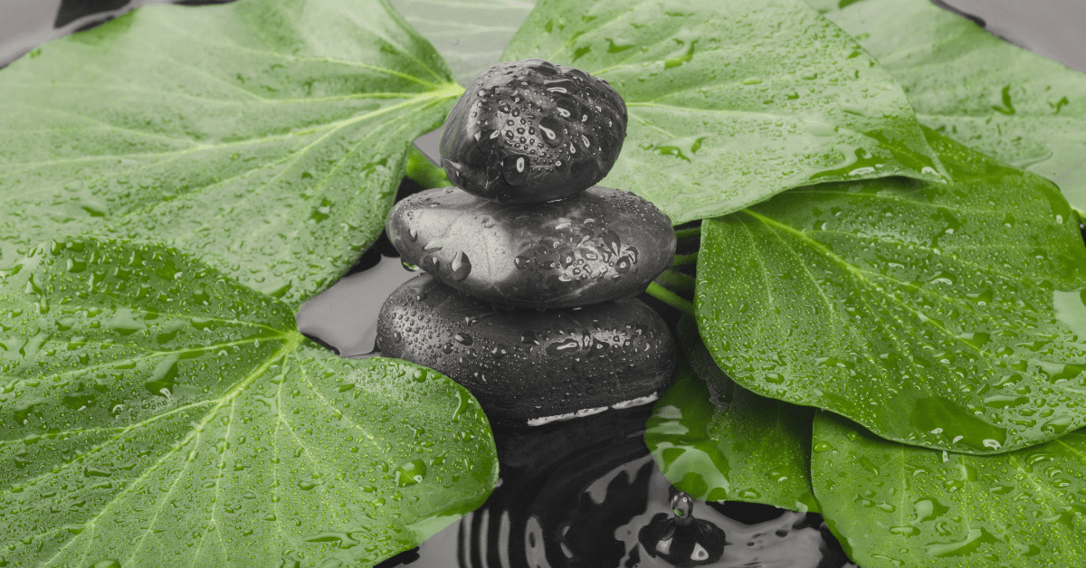 A Spiritual Spa: Cultivating hope in our bodies by connecting with the ...